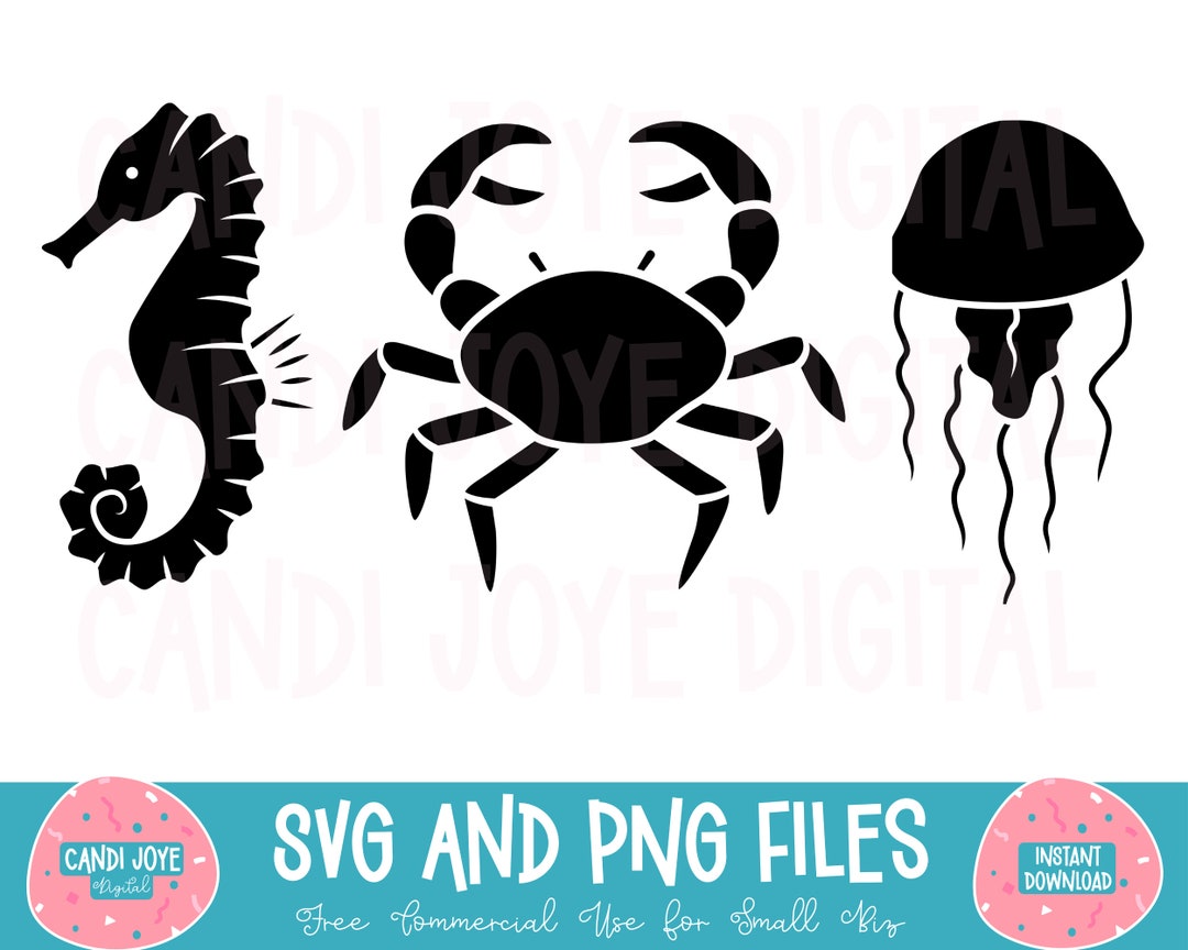 Crab SVG Seahorse SVG Octopus SVG Beach Svg Summer Png Ocean Svg Sea ...