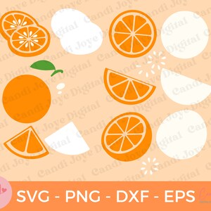 Orange SVG Bundle Orange Clipart Orange Graphics Orange Sublimation PNG ...