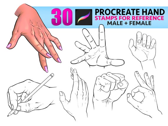 Male Hand Reference Drawing