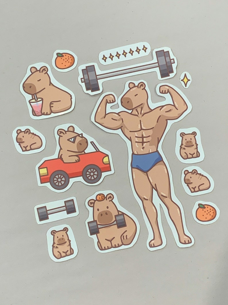 Capybara Stickers contains 14 Stickers - Etsy