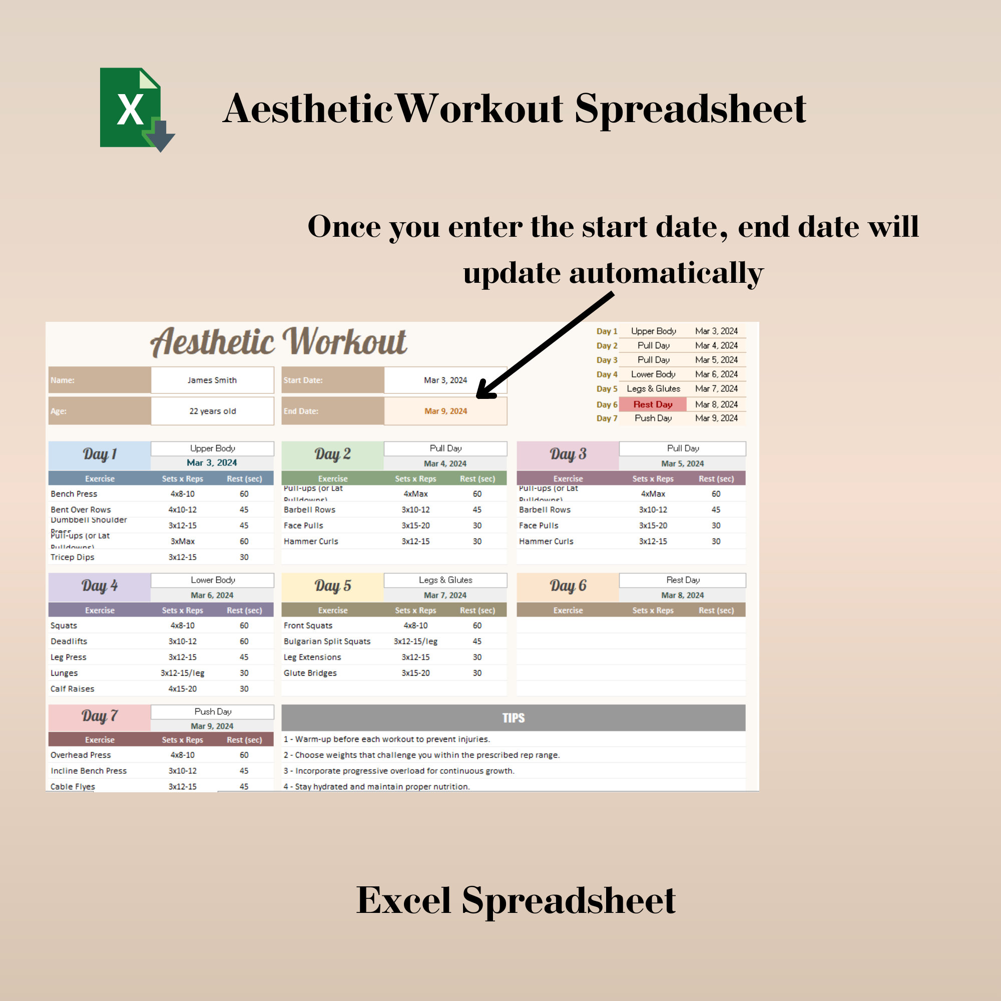 Aesthetic Workout Spreadsheet, Workout Planner Excel, Fitness Tracker ...