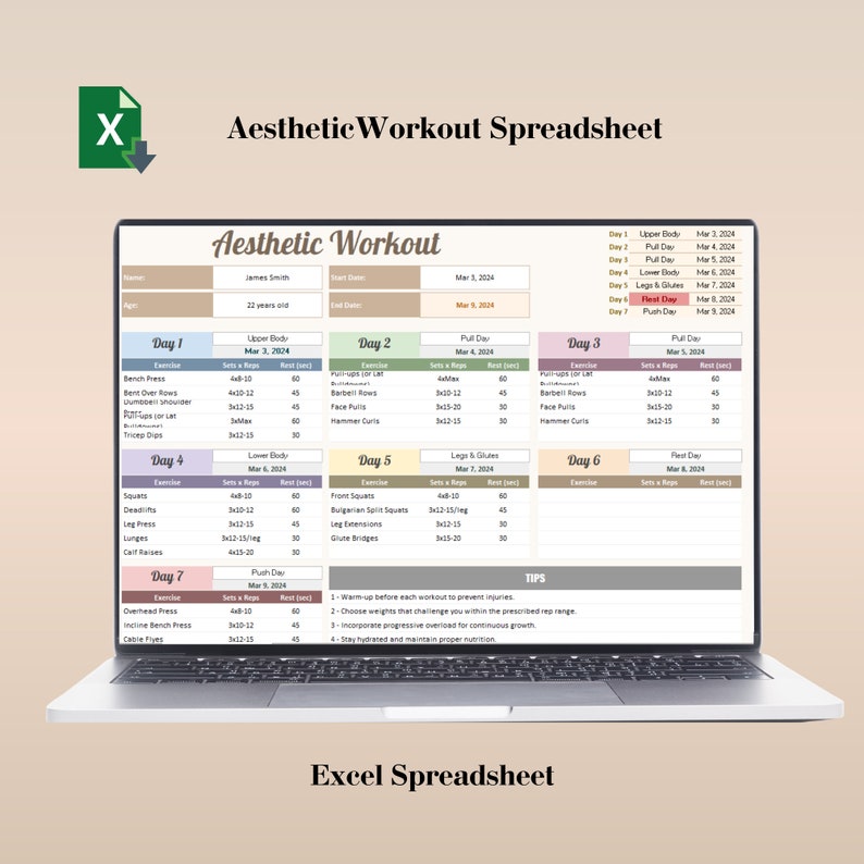 Aesthetic Workout Spreadsheet, Workout Planner Excel, Fitness Tracker ...
