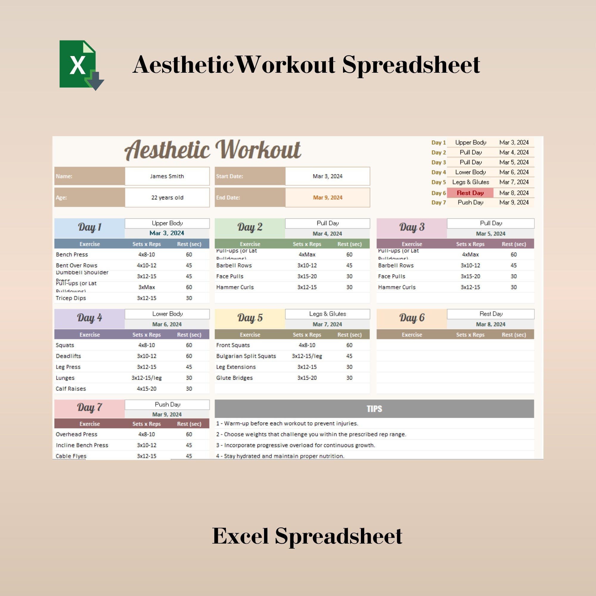 Aesthetic Workout Spreadsheet, Workout Planner Excel, Fitness Tracker ...