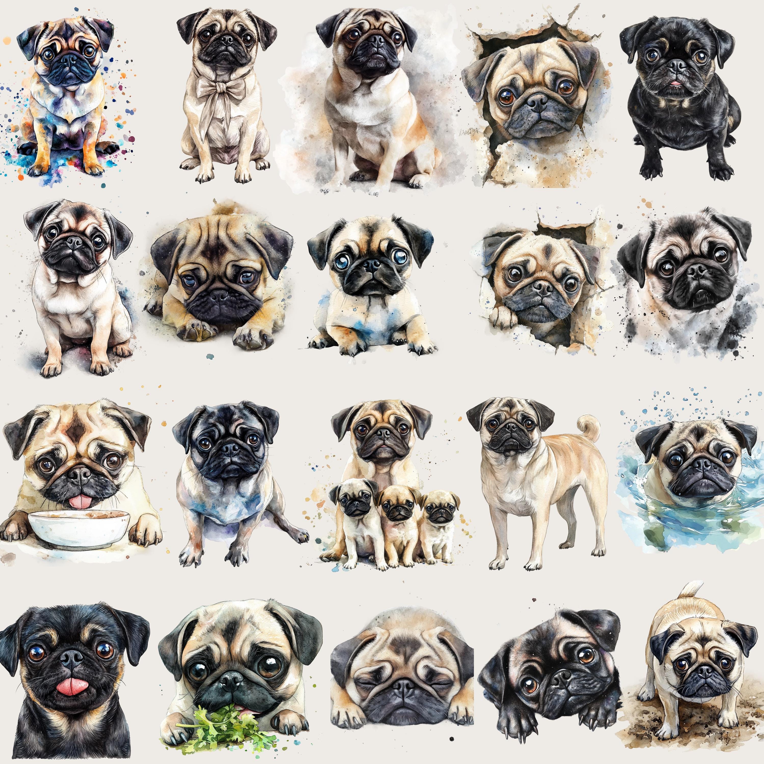 PUG Clipart, Watercolor Dog Clipart Png, Cute Pet Clipart, Pug Images ...