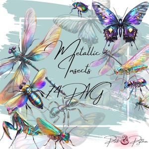 Metallic Insects Clipart: Colorful Bugs, Beetles (digital Download, 74 ...
