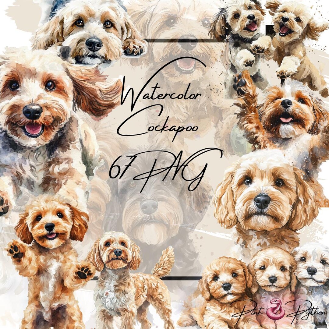 Watercolor Cockapoo Clipart, Cockapoo PNG, Puppies Clipart, Dog Clipart ...