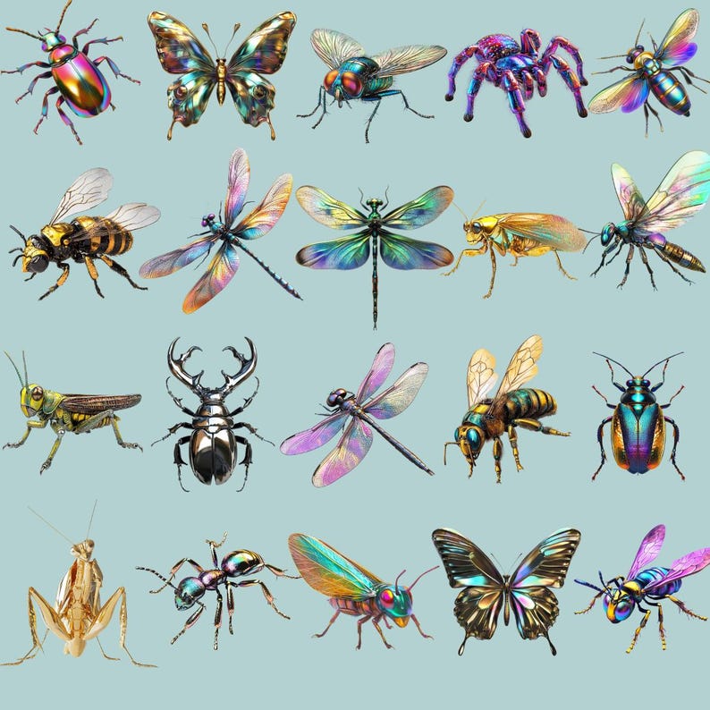 Metallic Insects Clipart: Colorful Bugs, Beetles (digital Download, 74 ...