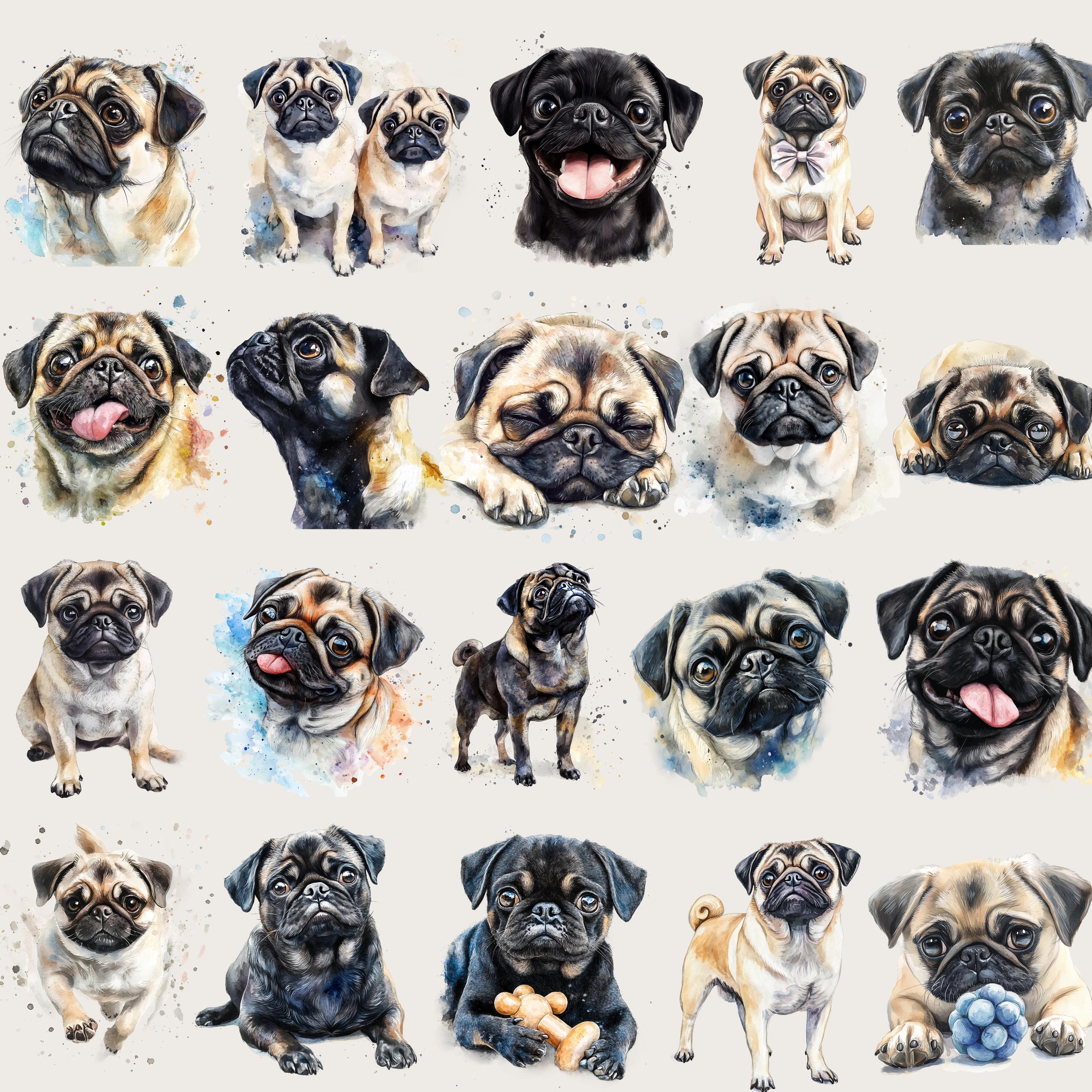 PUG Clipart, Watercolor Dog Clipart Png, Cute Pet Clipart, Pug Images ...