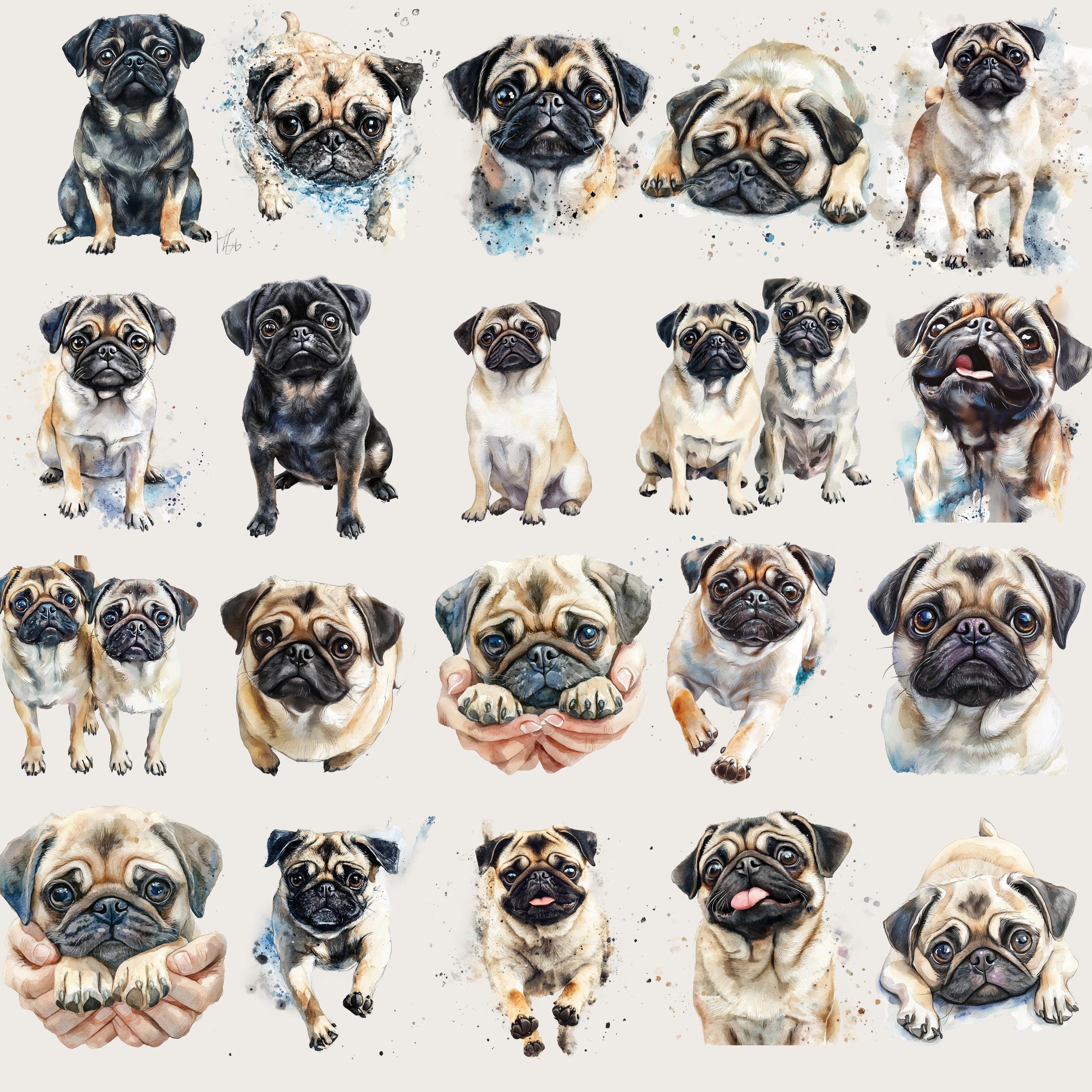 PUG Clipart, Watercolor Dog Clipart Png, Cute Pet Clipart, Pug Images ...