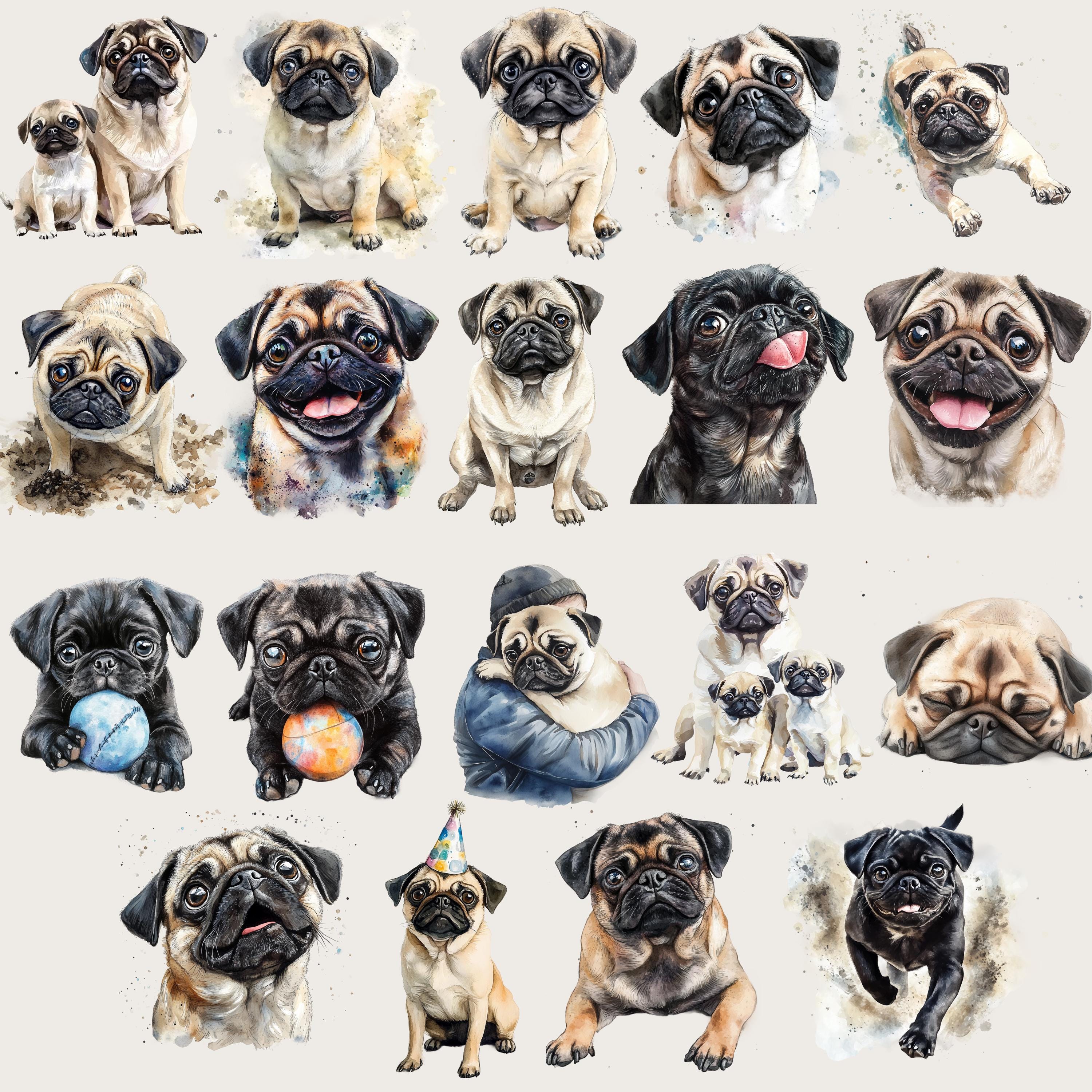 PUG Clipart, Watercolor Dog Clipart Png, Cute Pet Clipart, Pug Images ...