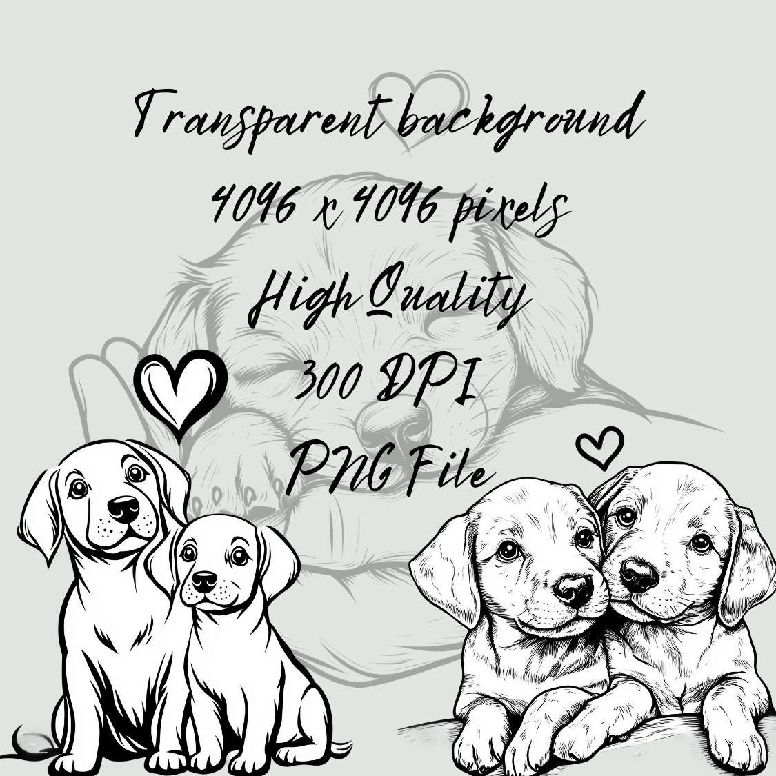 Line Art Puppy Clipart Bundle: Black and White Dog Pngs (digital ...