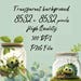 Insects in a Jar Clipart: Funny Cartoon Bugs PNG - Etsy