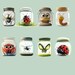 Insects in a Jar Clipart: Funny Cartoon Bugs PNG - Etsy