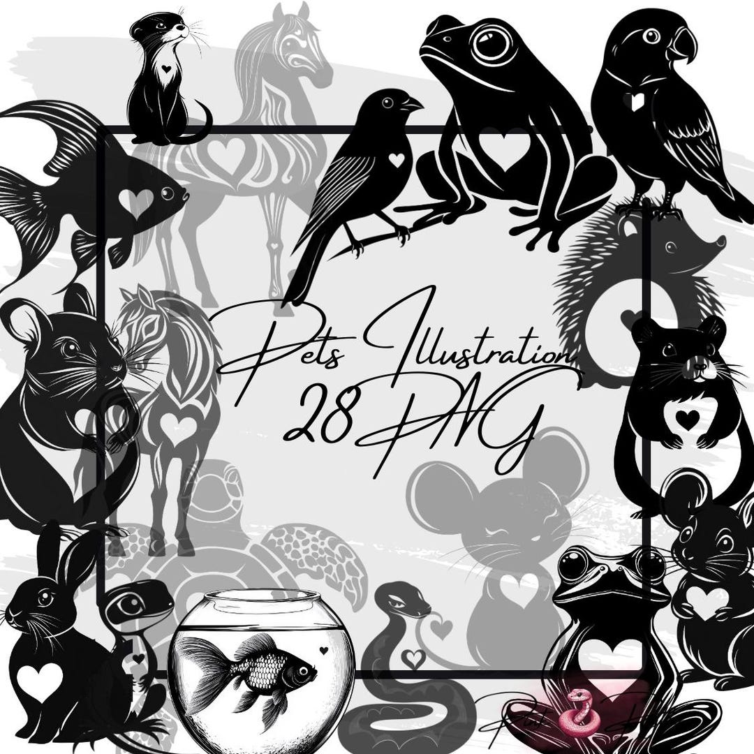 Black and White Pets Line Art Clipart: Animal Illustrations (digital ...