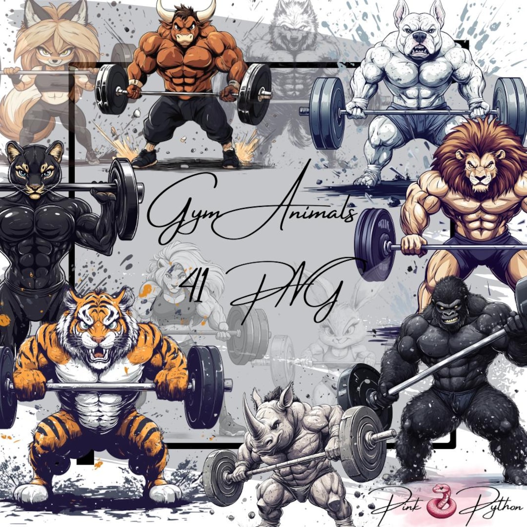 Gym Animals Clipart: Weightlifting Pets PNG (digital Download) - Etsy