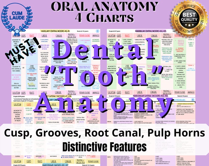 Dental Radiology Study Notes (14 Pages) - Etsy Canada