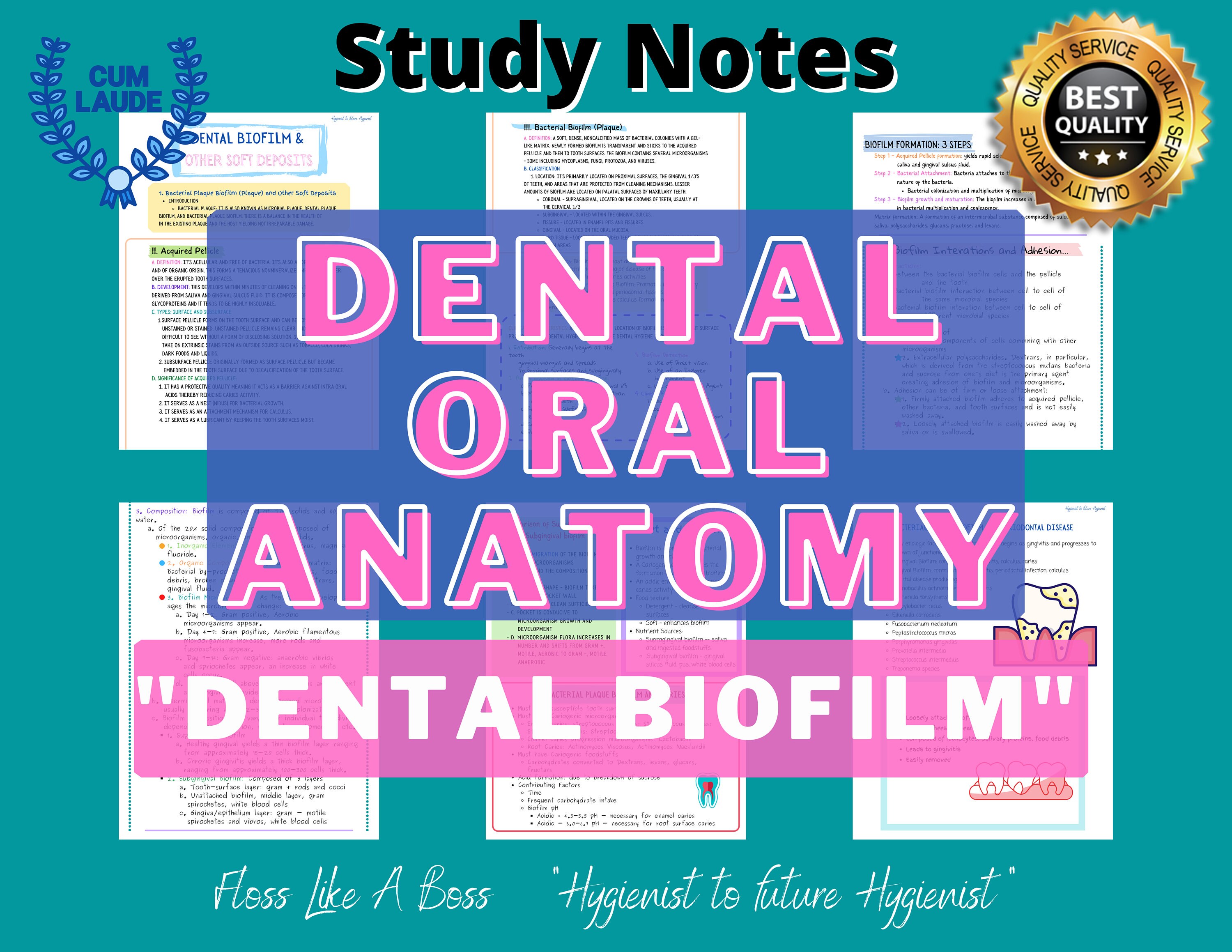 Dental Oral Anatomy (dental Biofilm Other Soft Deposits) Study Guide ...