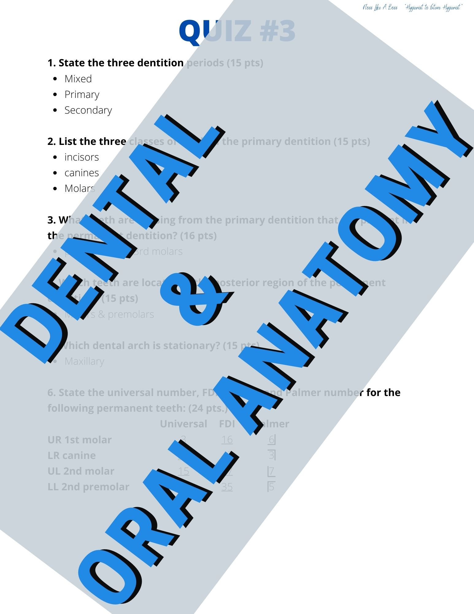 Dental & Oral Anatomy (distinctive Features) 4 Quizzes and Answers - Etsy