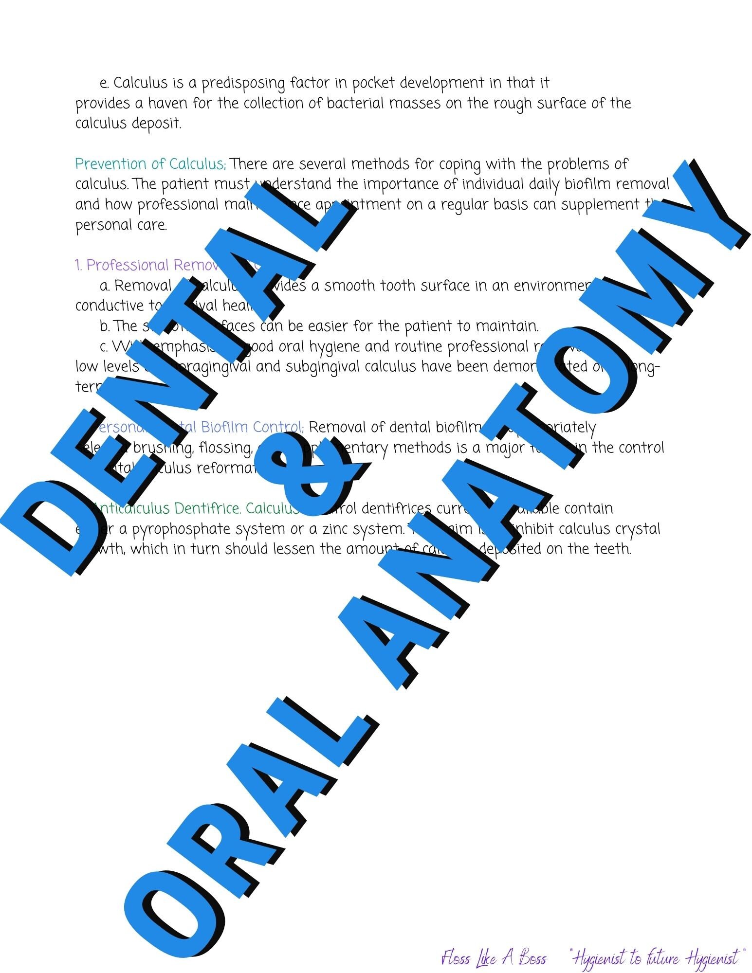 Dental & Oral Anatomy (calculus) Study Guide and Notes - Etsy
