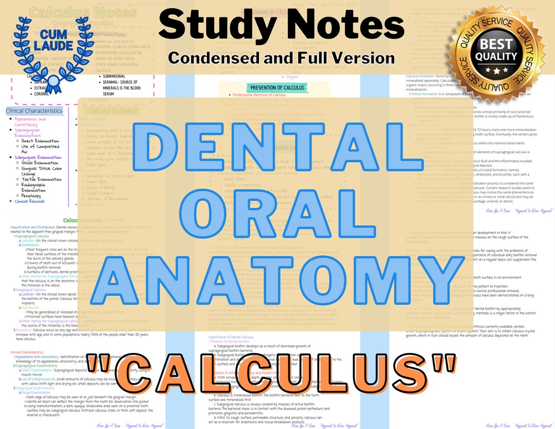 Dental & Oral Anatomy (calculus) Study Guide and Notes - Etsy