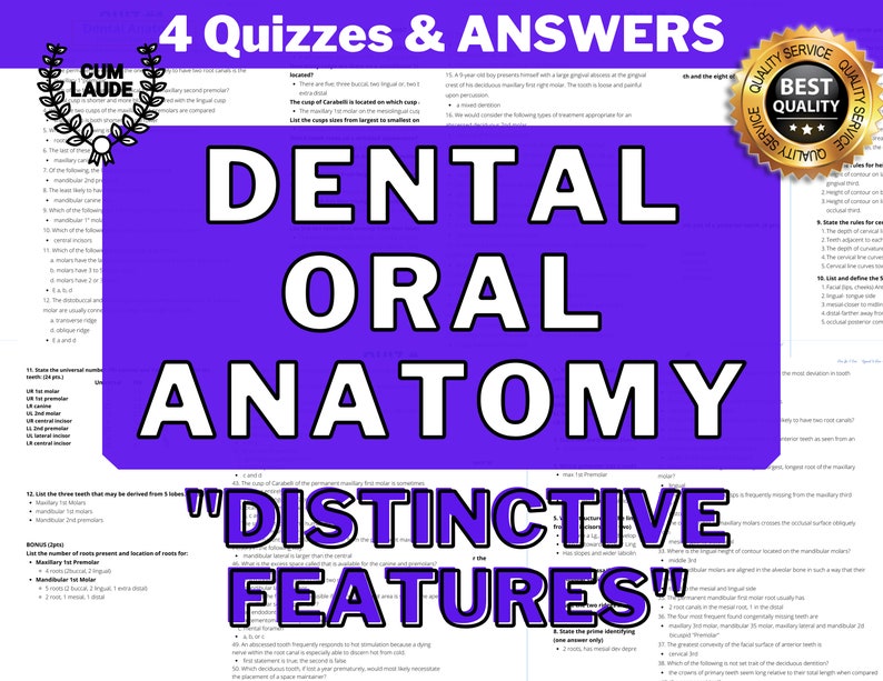 Dental & Oral Anatomy (distinctive Features) 4 Quizzes and Answers - Etsy