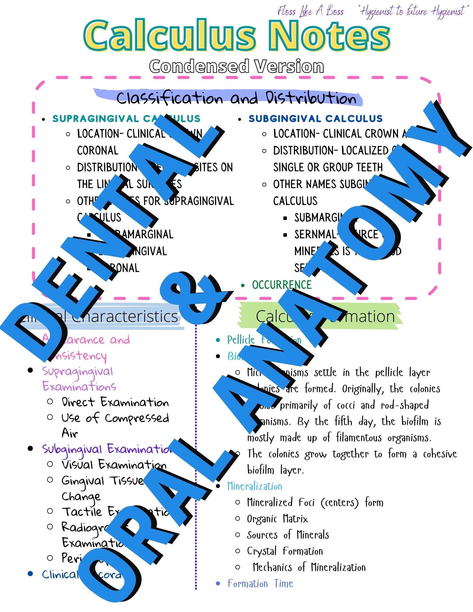 Dental & Oral Anatomy (calculus) Study Guide and Notes - Etsy