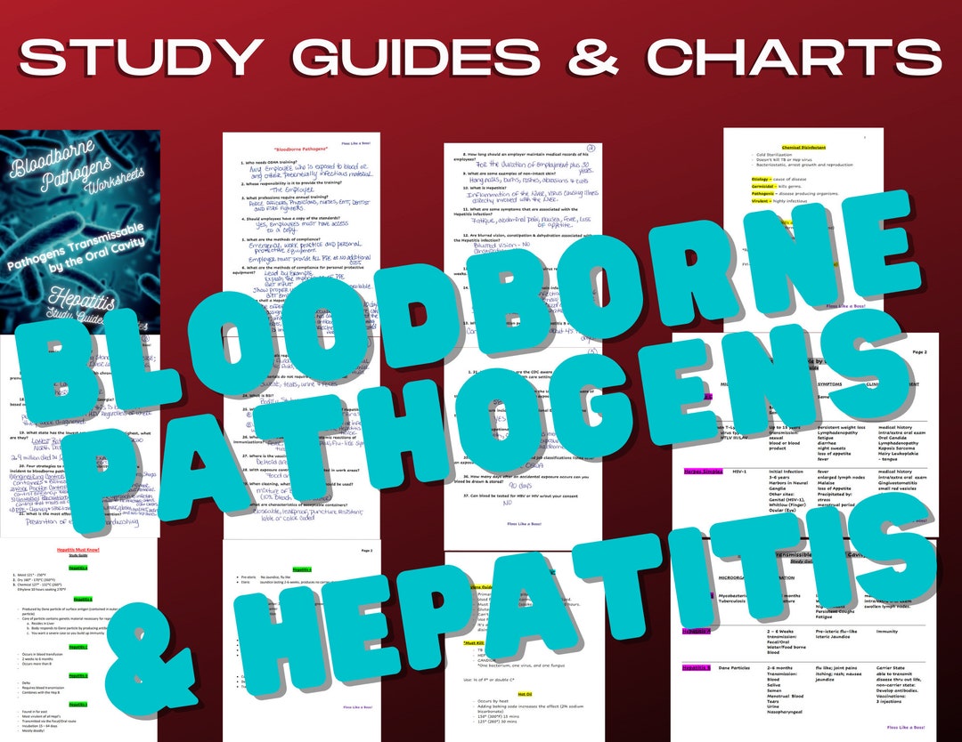 Bloodborne Pathogens & Hepatitis Worksheets and Study Guides - Etsy