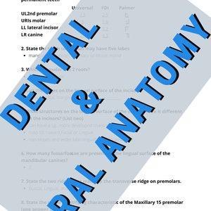 Dental & Oral Anatomy (distinctive Features) 4 Quizzes and Answers - Etsy