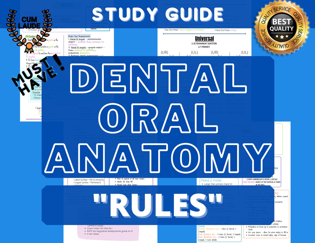 Dental Oral Anatomy (RULES) Study Guide and Notes - Etsy
