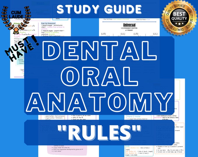 Dental Radiology Study Notes 14 Pages - Etsy Canada
