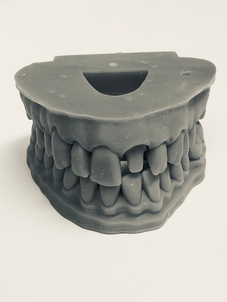 Make Your Own Models! See, How Does Your Teeth Look Like in Memory. - Etsy