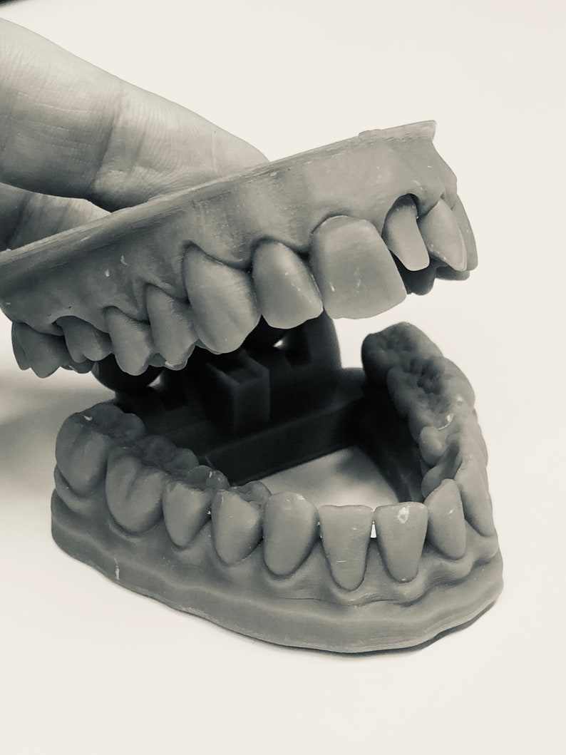 Make Your Own Models! See, How Does Your Teeth Look Like in Memory. - Etsy