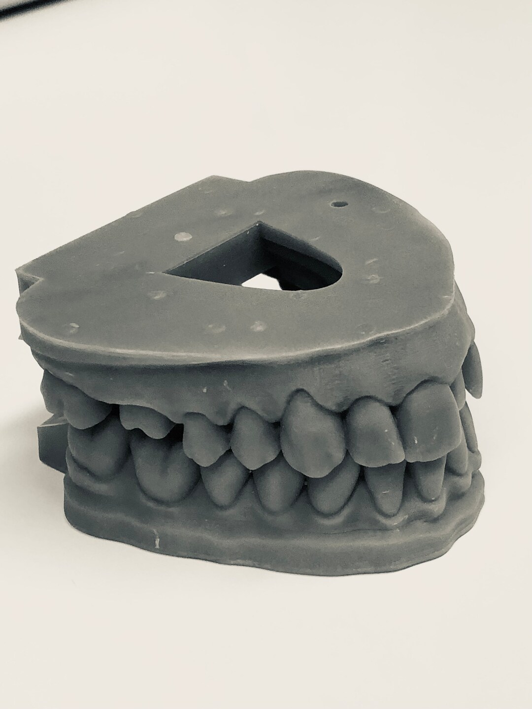 Make Your Own Models! See, How Does Your Teeth Look Like in Memory. - Etsy