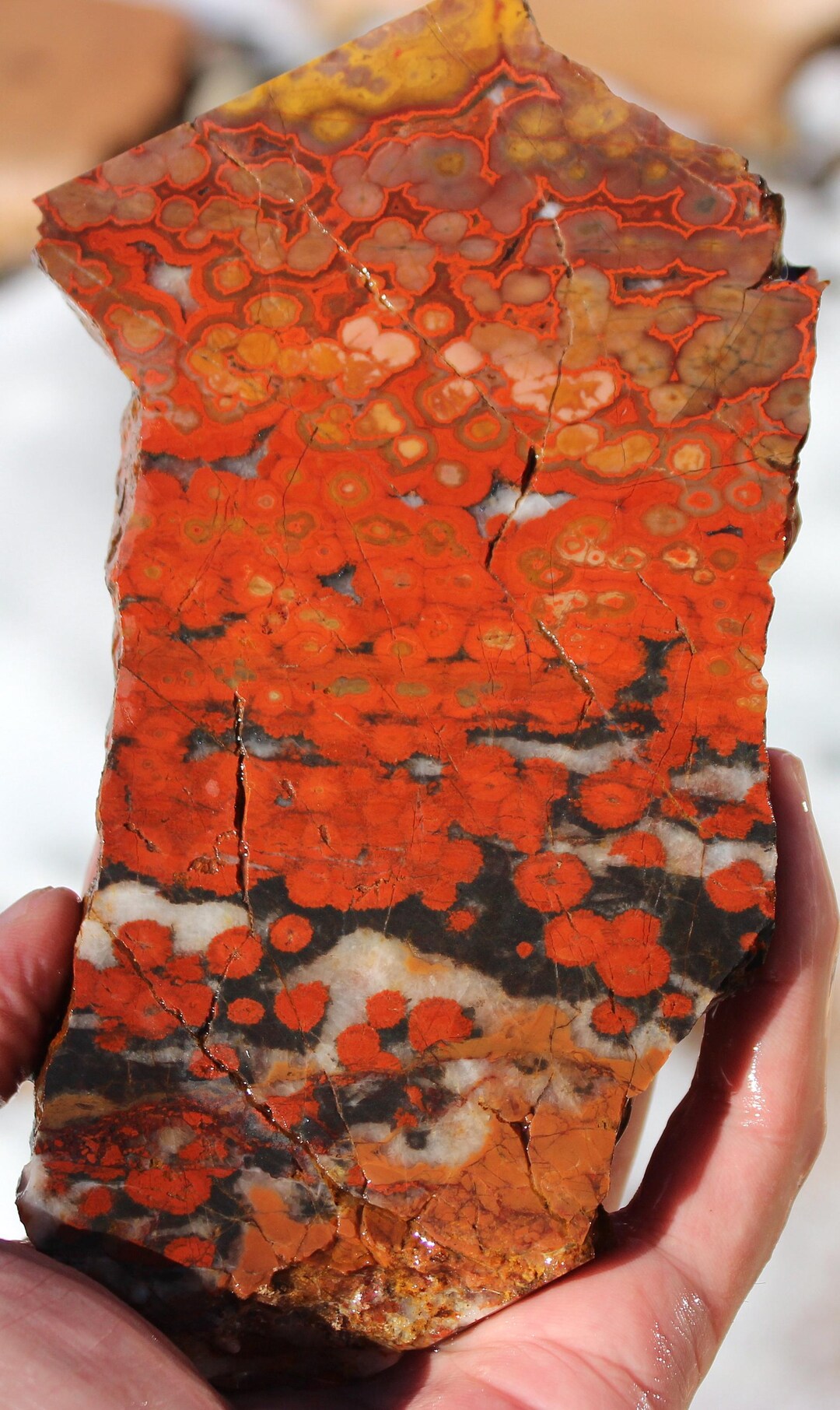 Morgan Hill Poppy Jasper Slab - Etsy