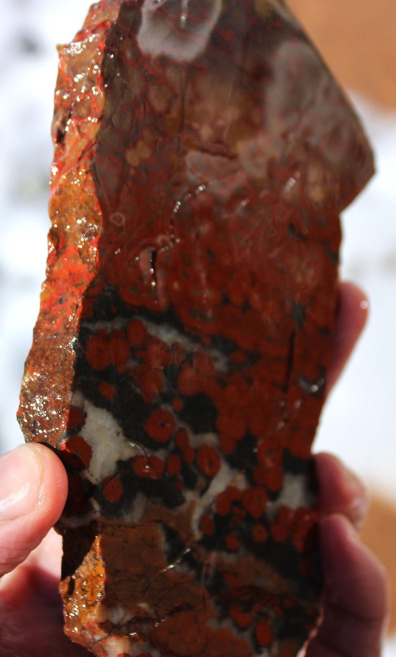 Morgan Hill Poppy Jasper Slab - Etsy