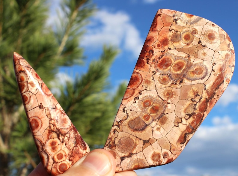 Bird's Eye Rhyolite (A Slab and a Cab) - Etsy
