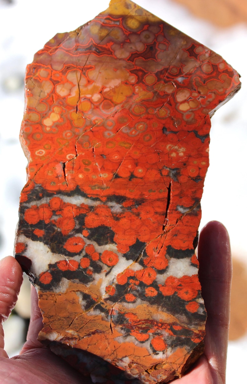 Morgan Hill Poppy Jasper Slab - Etsy