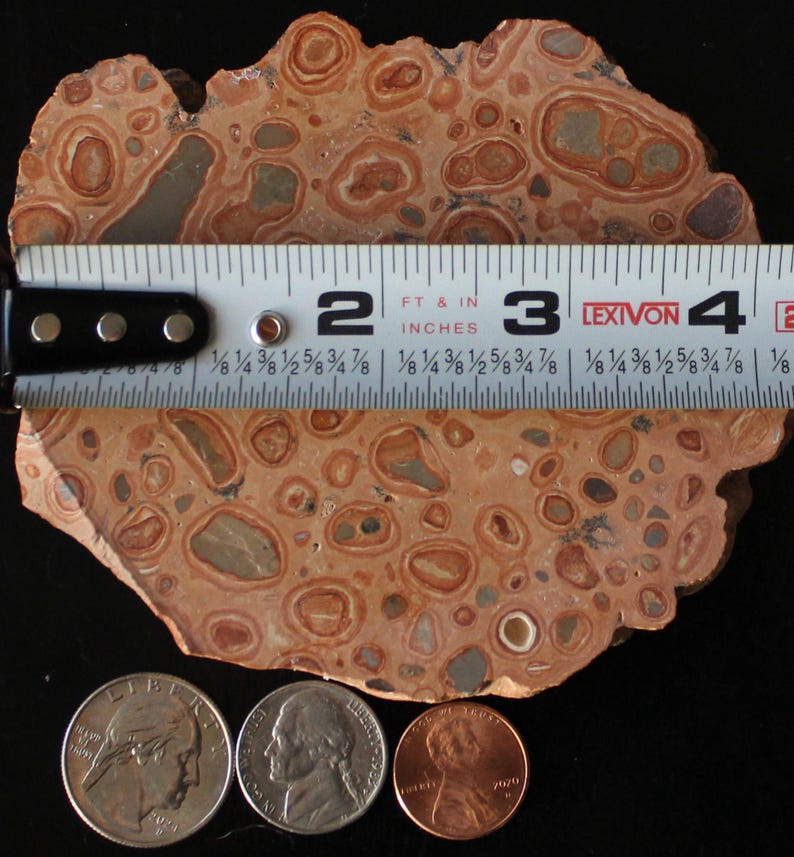 Mexican Orbicular Rhyolite. - Etsy