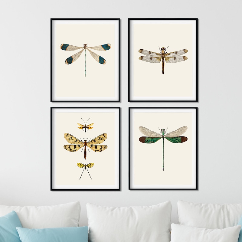 Dragonfly Prints Unframed - Etsy