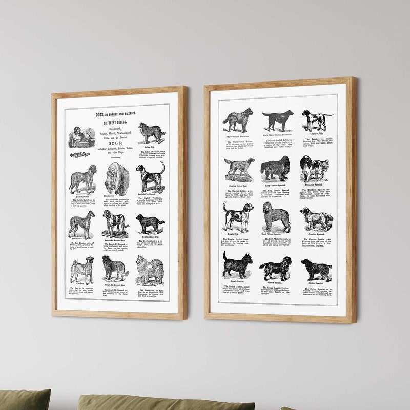 Dog Breeds Poster - Etsy