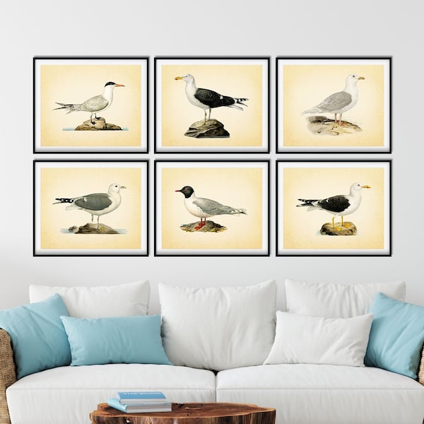 Sea Bird Print - Etsy