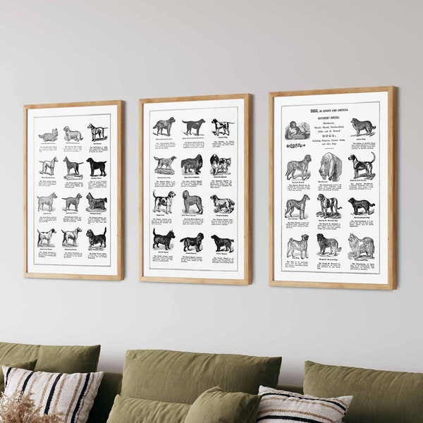 Dog Breeds Poster - Etsy