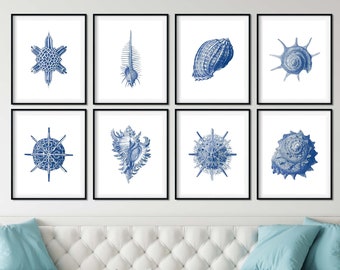 Seashell Print Set - Etsy