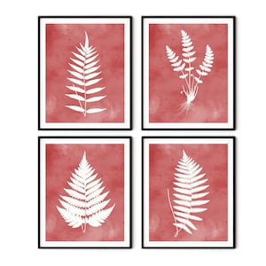 Blush Watercolor Fern Print Set of 4 - Fern Wall Art, Botanical Wall ...