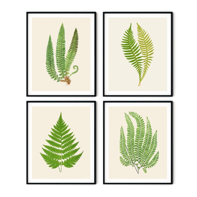 Fern Print - Etsy UK