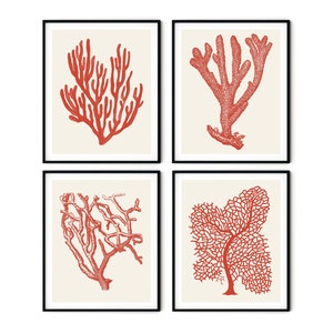 Red Sea Coral Prints Set of 4 - Red Coral Prints, Nautical Art, Beach ...
