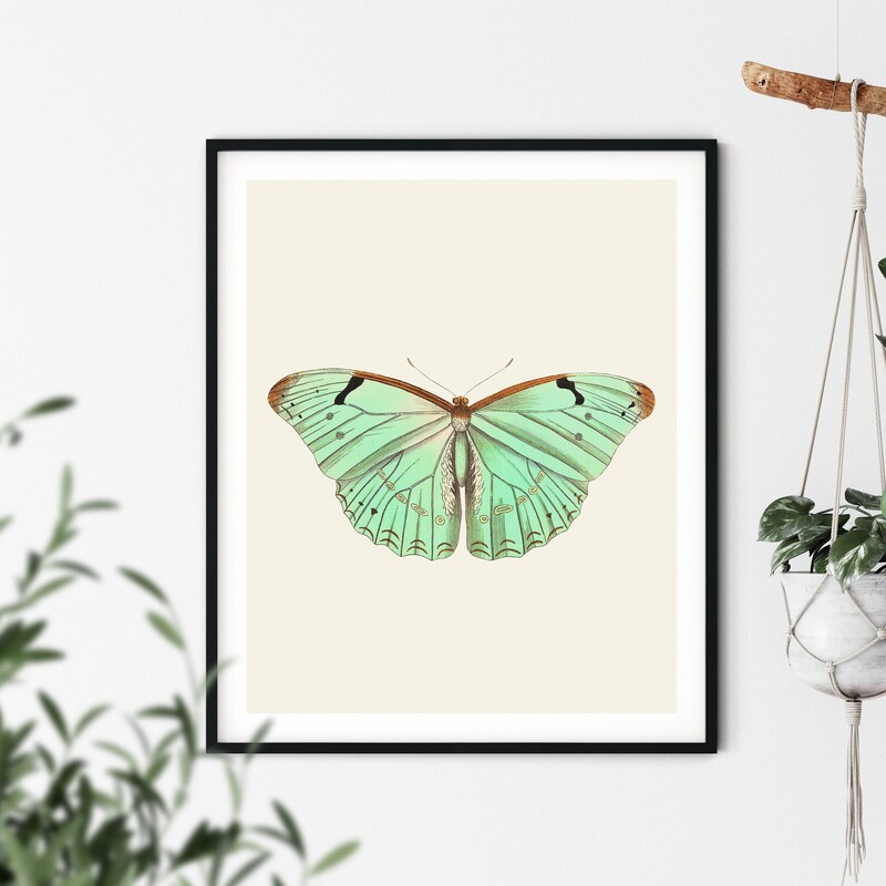 Butterfly Poster - Etsy