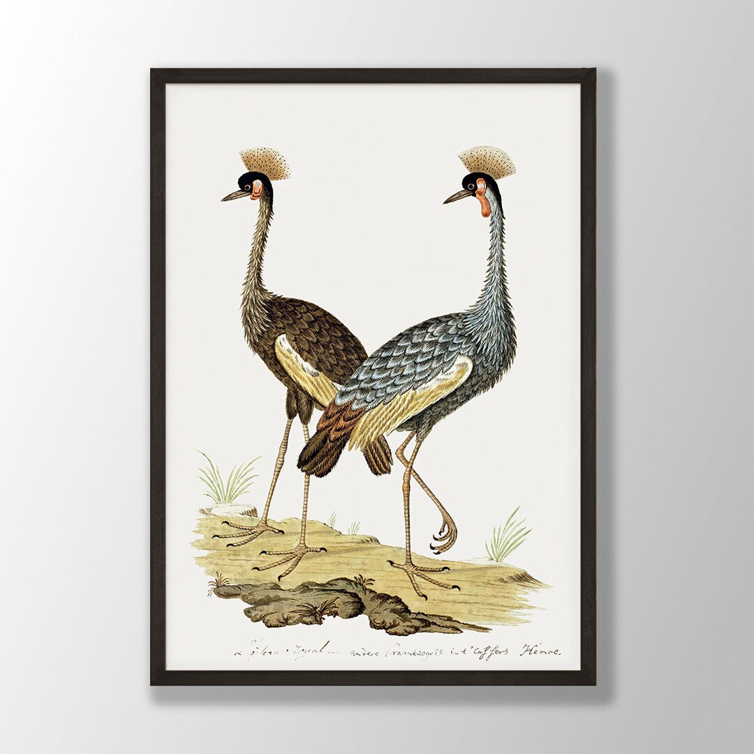 Vintage Crane Print Bird Wall Art, Crane Wall Art, Farmhouse Decor ...