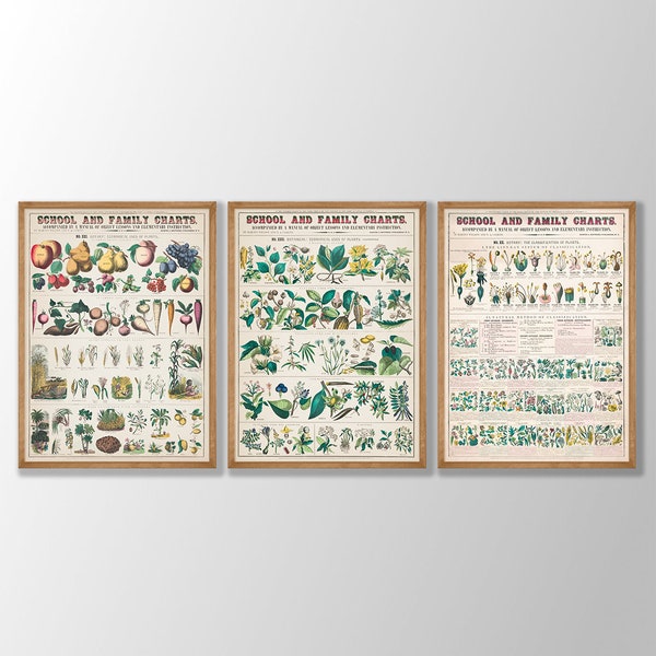 Vegetable Poster - Etsy