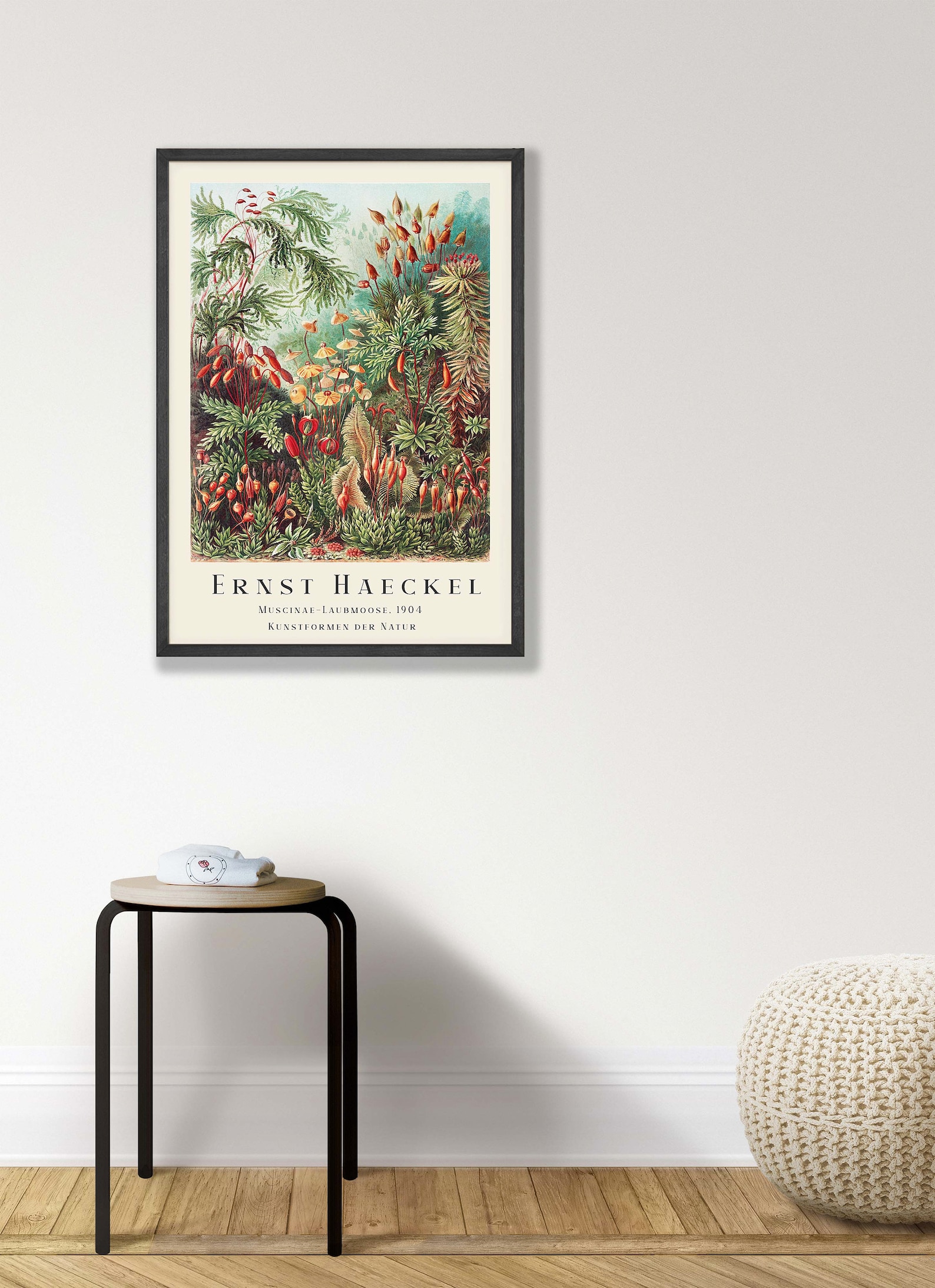 Vintage Ernst Haeckel Poster Vintage Tree Poster Botanical - Etsy